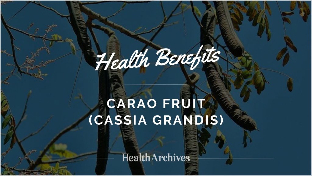 Carao Fruit (Cassia Grandis): Health Benefits Of Central America ...