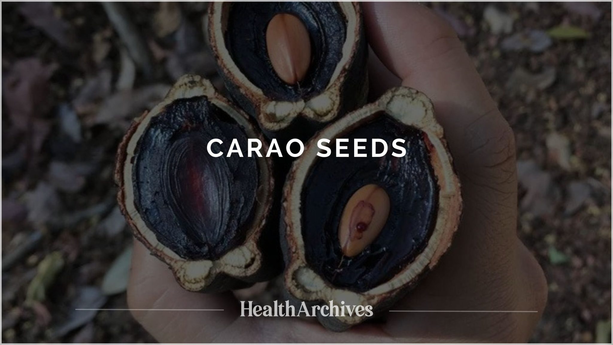 Carao Fruit (Cassia Grandis): Health Benefits Of Central America ...